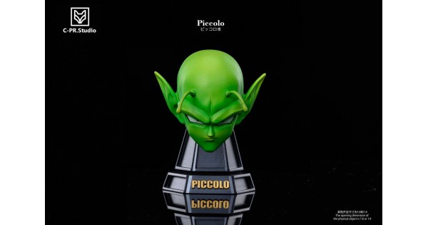 CPR STUDIO - Piccolo
