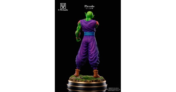 CPR STUDIO - Piccolo