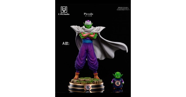 CPR STUDIO - Piccolo