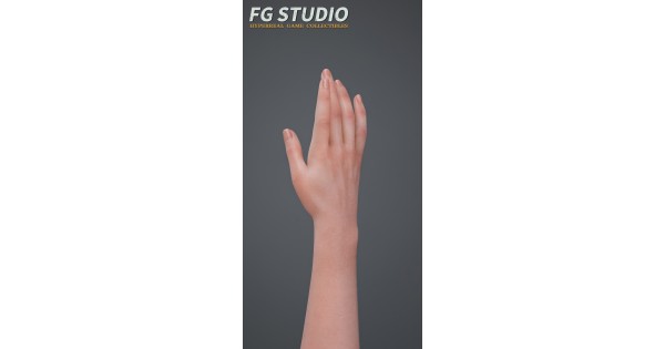 Ada Wong FG004 by FG Studio