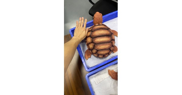 Master Roshi By Infinite Studio