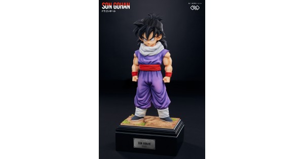 Son Gohan by Infinite Studio