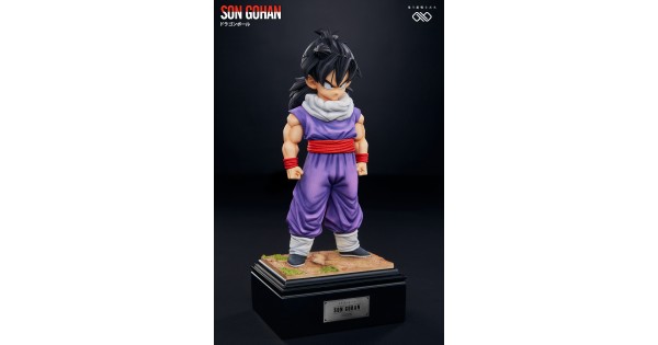 Son Gohan by Infinite Studio
