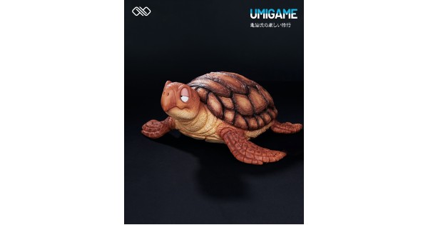 Turtle By Infinite Studio