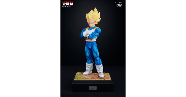 Vegeta by Infinite STUDIO