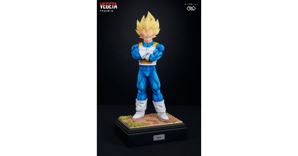 Vegeta by Infinite STUDIO