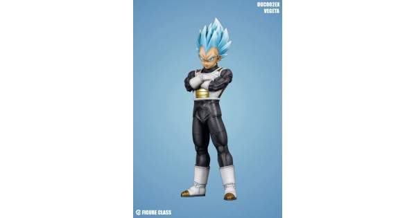 Figure Class - Vegeta Super Saiyan Blue