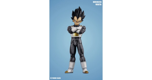 Figure Class - Vegeta Super Saiyan Blue