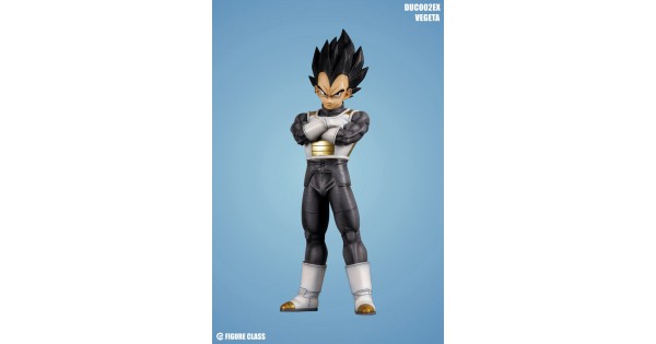 Figure Class - Vegeta Super Saiyan Blue