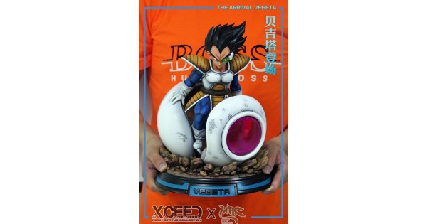 Vegeta's First Arrival on Earth by XCEED x MRC