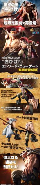 Edward Newgate ( Whitebeard ) POP MAXIMUM